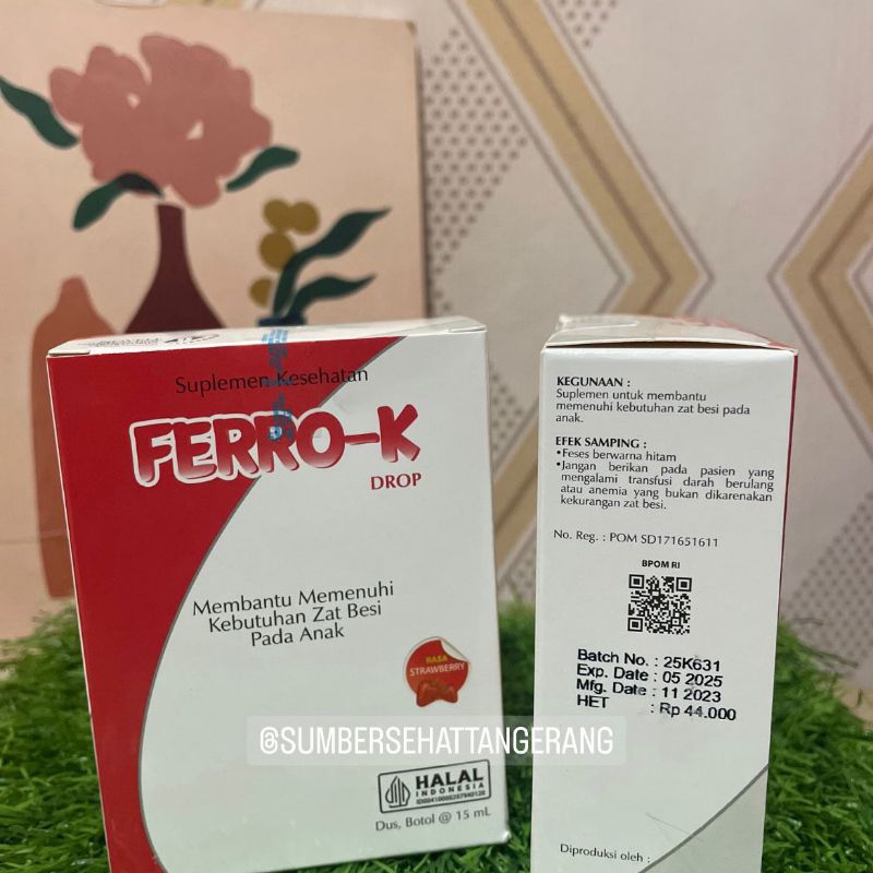 Jual Ferro K Drop 15mL Zat Besi anak Multivitamin Tambahan | Shopee ...