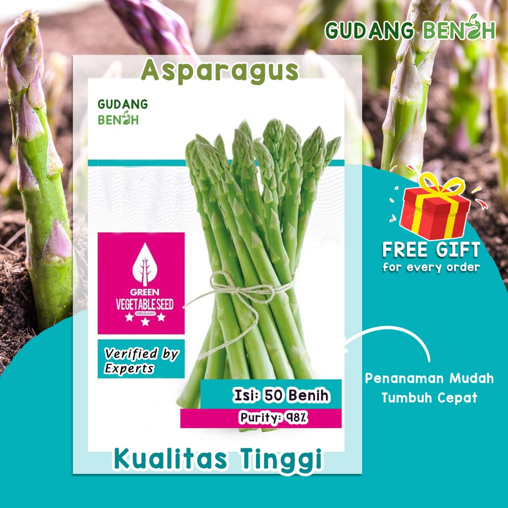 Jual Bibit Tanaman Sayuran Pilihan Asparagus Isi 50 Benih Berkualitas ...
