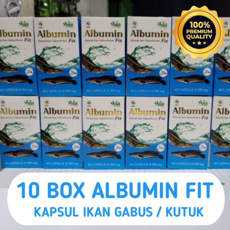 Jual ALBUMIN FIT PAKET 10 BOX KAPSUL IKAN GABUS / KUTUK MEMPERCEPAT PENYEMBUHAN LUKA DAN PASCA ...