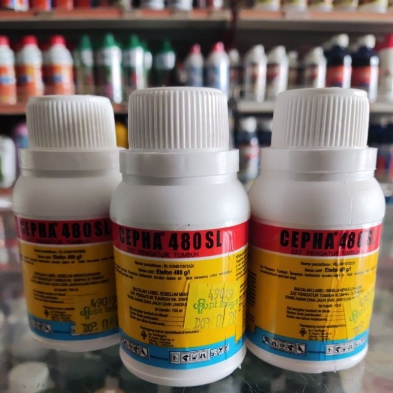 Jual Zat Pengatur Tumbuh Tanaman - Ethrel Cepha 480 SL 100ml | Shopee ...