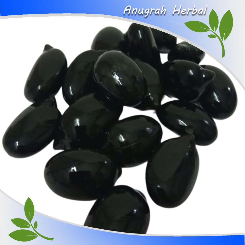 Jual Bibit Biji Aren 1 kg Isi 100 Pcs / Benih Biji Aren Siap Tanam ...