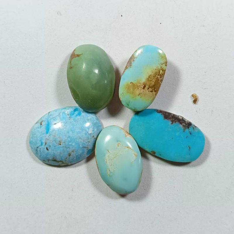 Jual Natural pirus Persia(17) | Shopee Indonesia