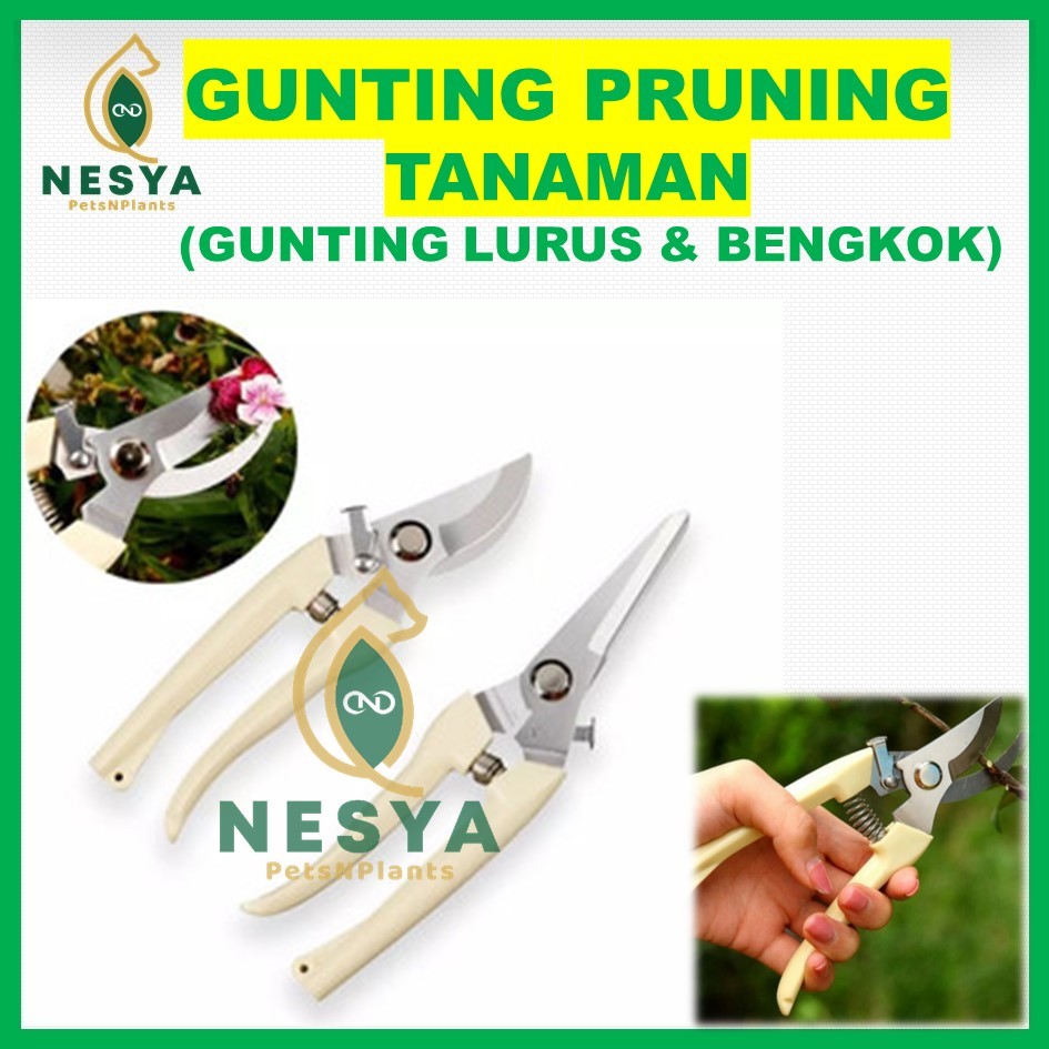 Jual Gunting Pruning / Gunting Tanaman (Gunting Lurus & Gunting Bengkok ...
