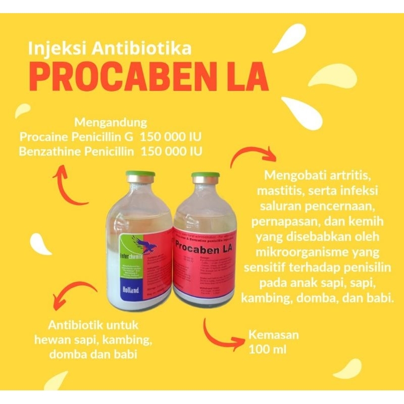 Jual PROCABEN LA pengganti Penstrep pada hewan ternak (sapi, kambing ...