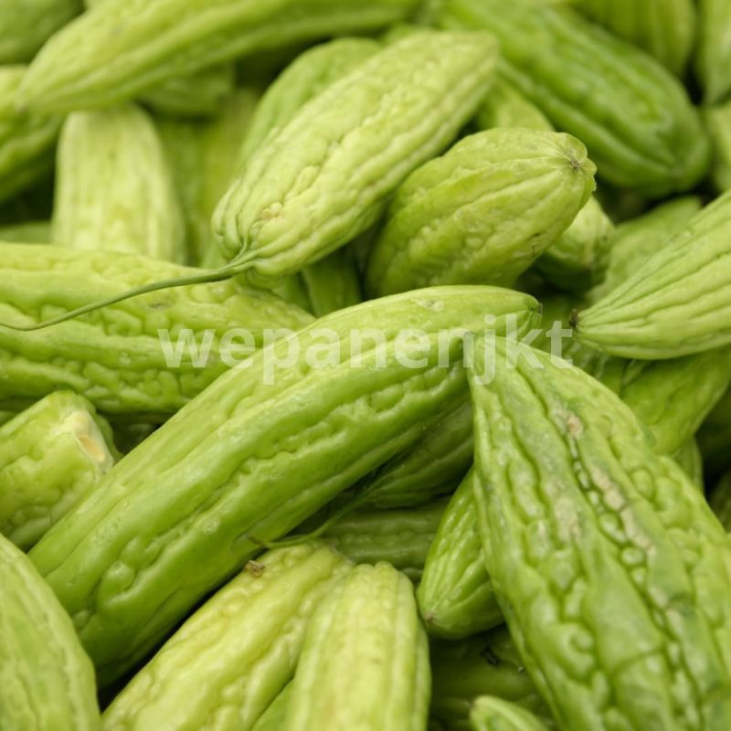 Jual Sayur Pare/Paria 500gr | Shopee Indonesia