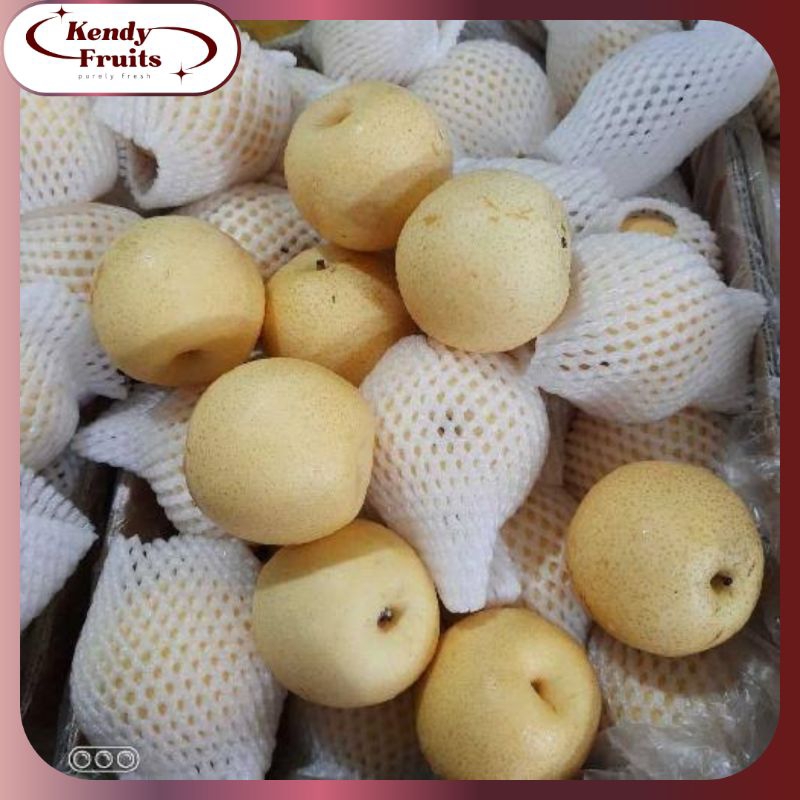 Jual PEAR Century ( Pir Century ) 1 Kg | Buah Segar Sehat Fresh ...