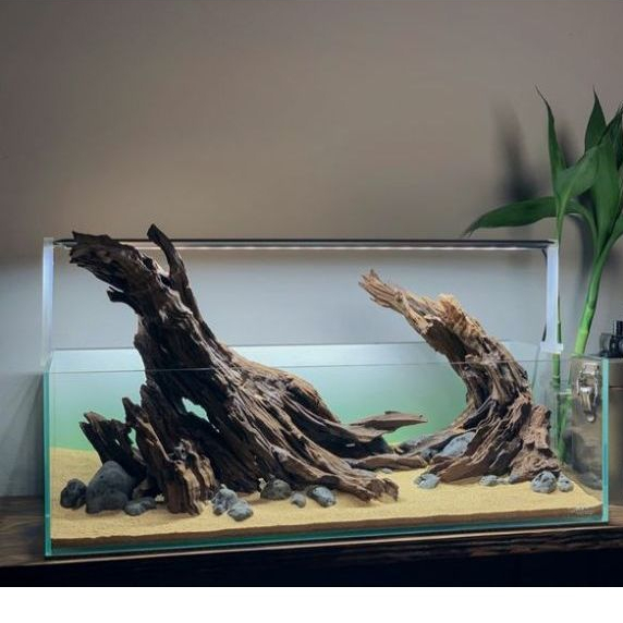 Jual kayu rentek kayufosil aquascape akuarium | Shopee Indonesia