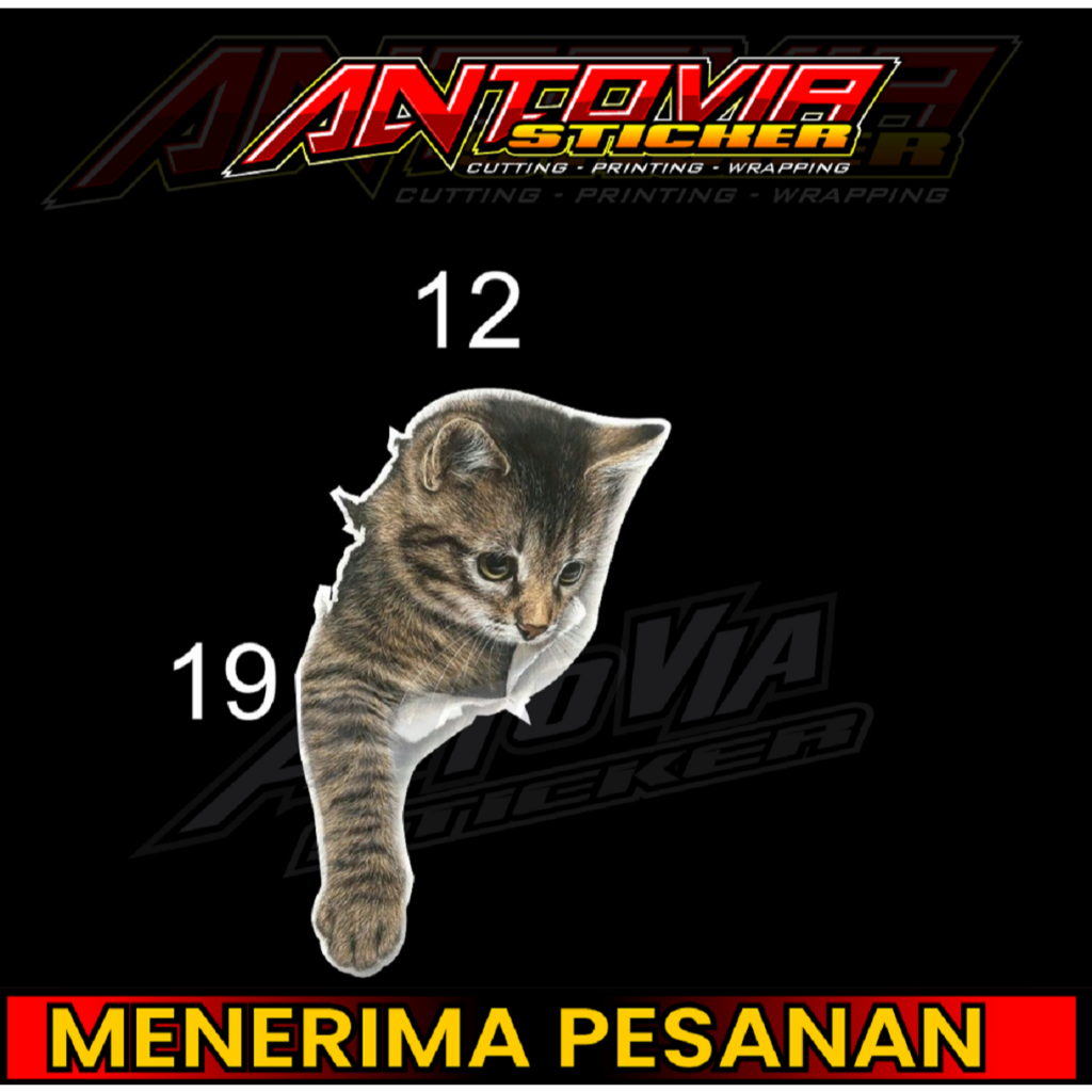 Jual Stiker Printing + Desain Kucing Ukuran 19x12 cm | Shopee Indonesia
