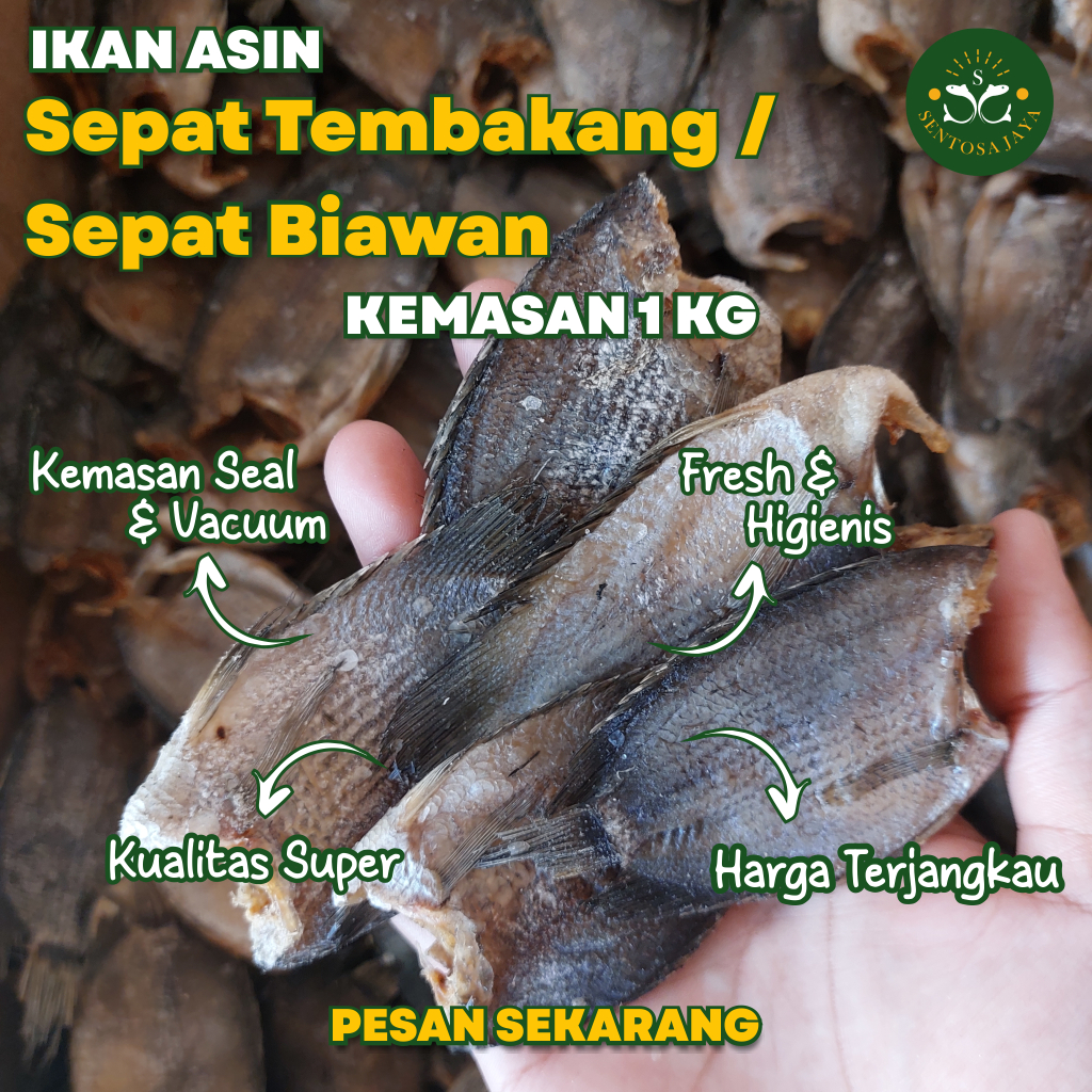 Jual Ikan Asin Biawan / Tembakang 1 KG Ikan Asin Sepat Biawan ...