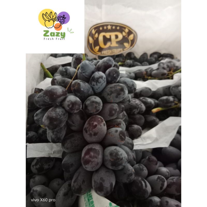 Jual ANGGUR AUTUMN IMPORT ROYAL CHINA CP/KG MANIS, TANPA BIJI | Shopee ...