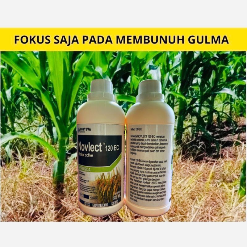 Jual NOVLECT 120 EC HERBISIDA PENGENDALI GULMA | Shopee Indonesia