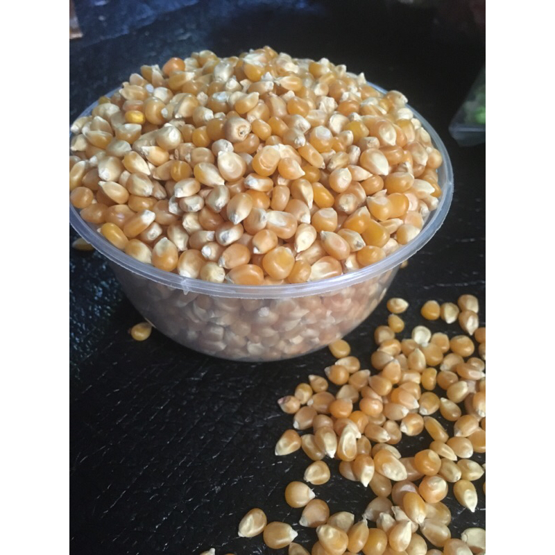 Jual Jagung POPCORN mentah khusus utk bikin popcorn kemasan repack 500g ...