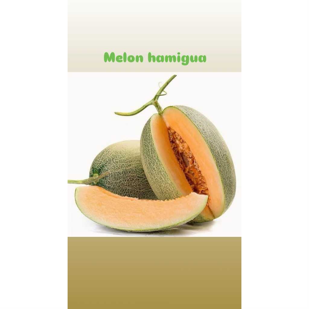 Jual Melon Jepang Premium Hamigua I Hamikua Original Best Seller per ...
