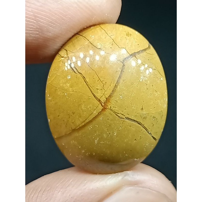 Jual Batu Posil Galih Asem Tapak Jalak , Asli Natural | Shopee Indonesia