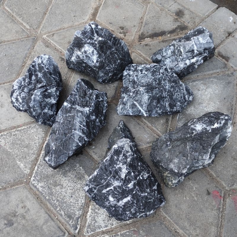 Jual batu kreket kriket Celebes hiasan akuarium aquascape hardscape ...