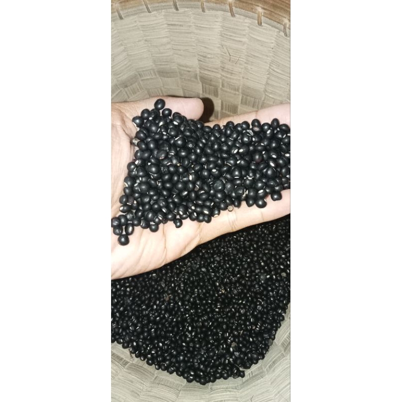 Jual Kacang Gude Hitam/Undis Kering 1Kg | Shopee Indonesia