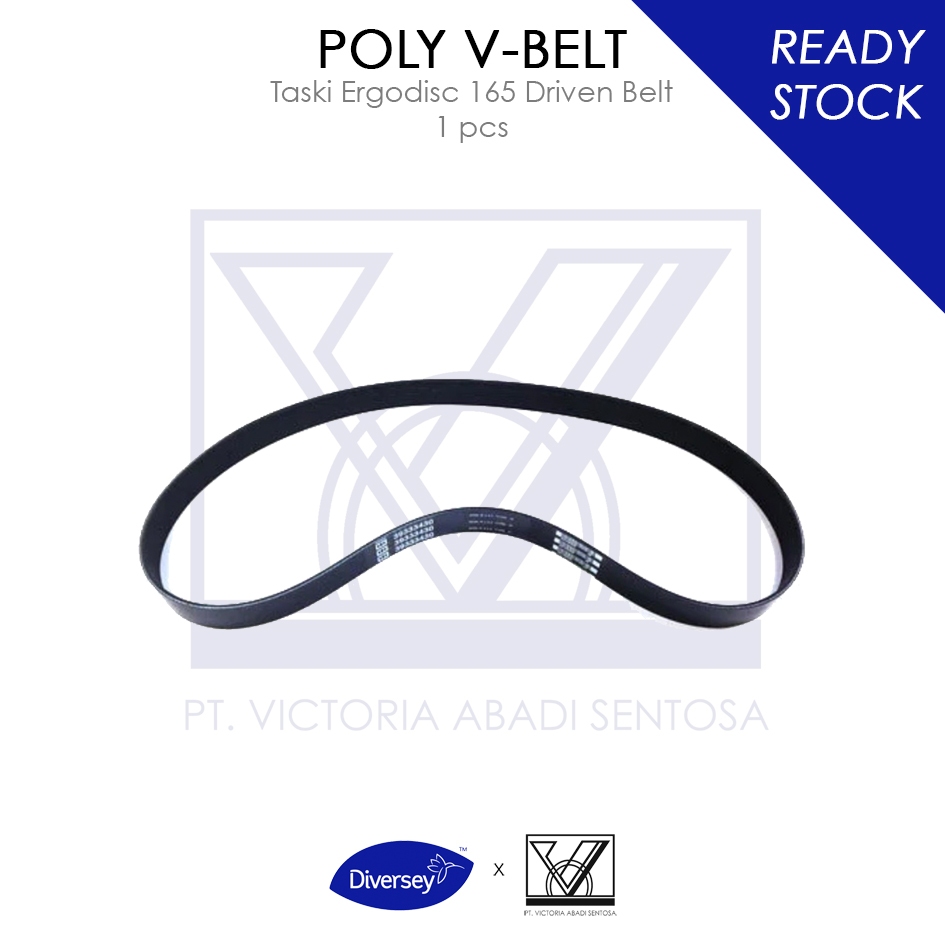 Jual TASKI Ergodisc 165 - Poly V-Belt (Genuine Belt Replacement Part ...