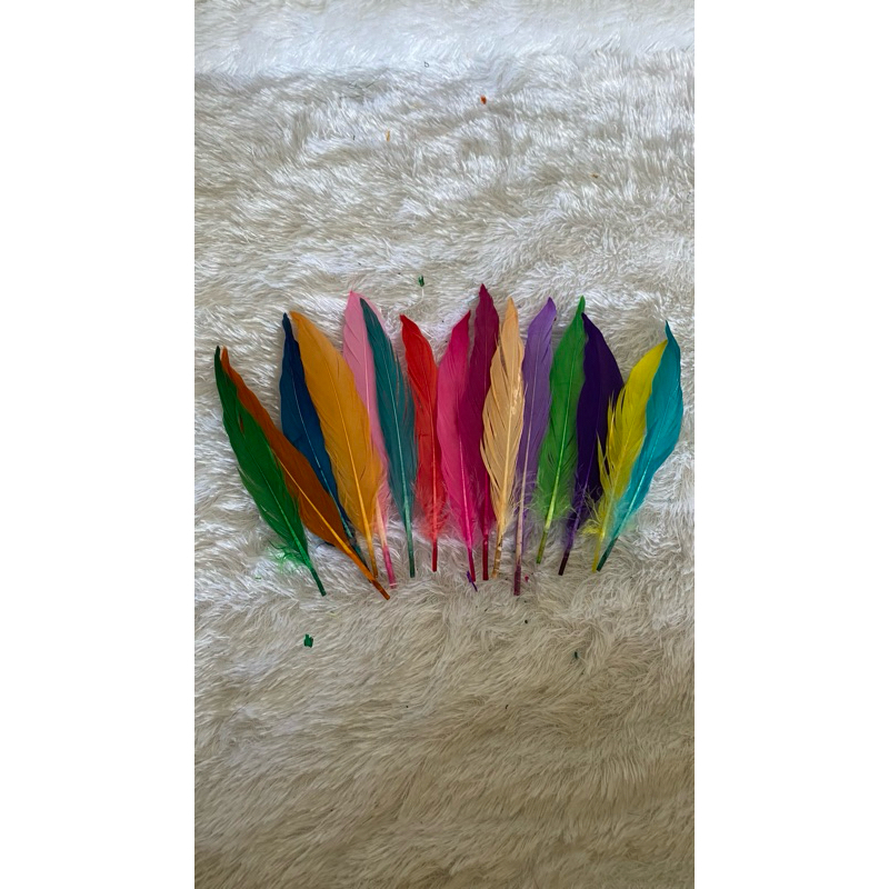 Jual bulu angsa besar 100 helai | Shopee Indonesia