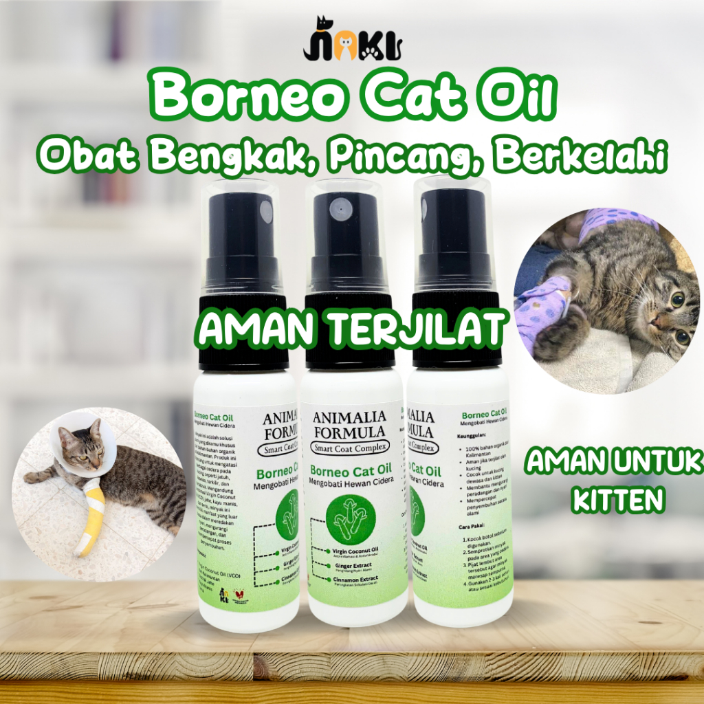 Jual [GROSIR] BORNEO CAT OIL OBAT HERBAL KUCING JATUH KESELEO TERKILIR ...