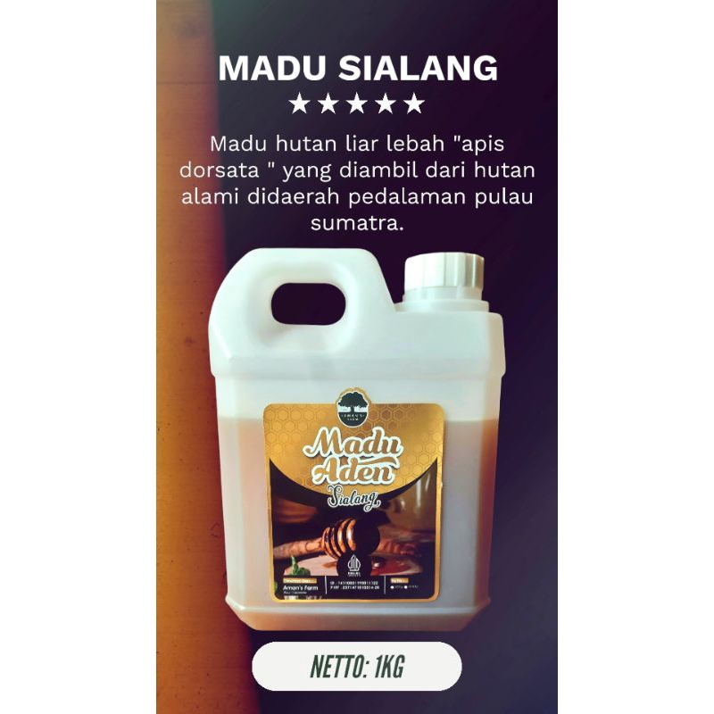 Jual Madu Hutan Sialang Murni Madu Hutan Liar Madu Hutan Sumatra Madu ...