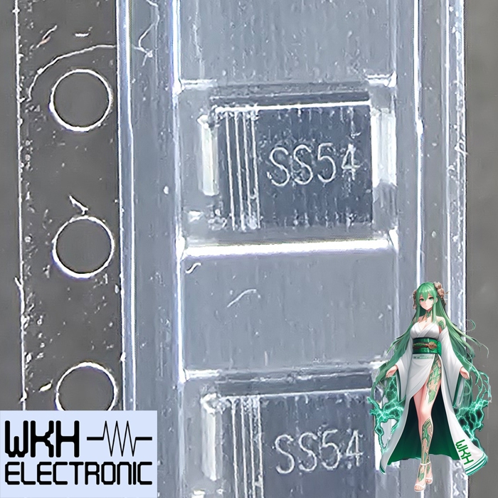 Jual DIODA SS54 SMB 5A 1N5824 SMD DO-214AA SCHOTTKY BARRIER RECTIFIER SR540 | Shopee Indonesia