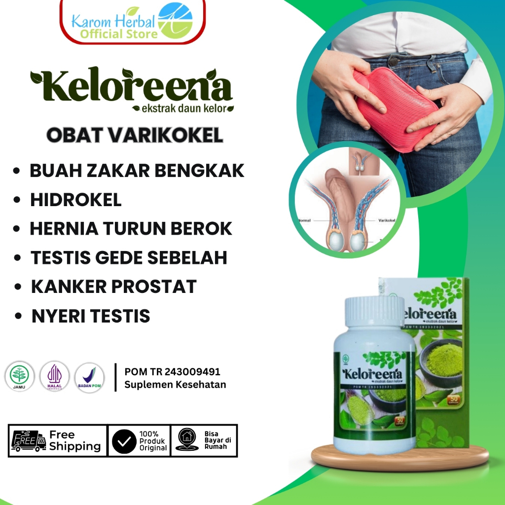 Jual Obat Varikokel Buah Zakar Bengkak Sebelah Hidrokel Hernia Turun ...