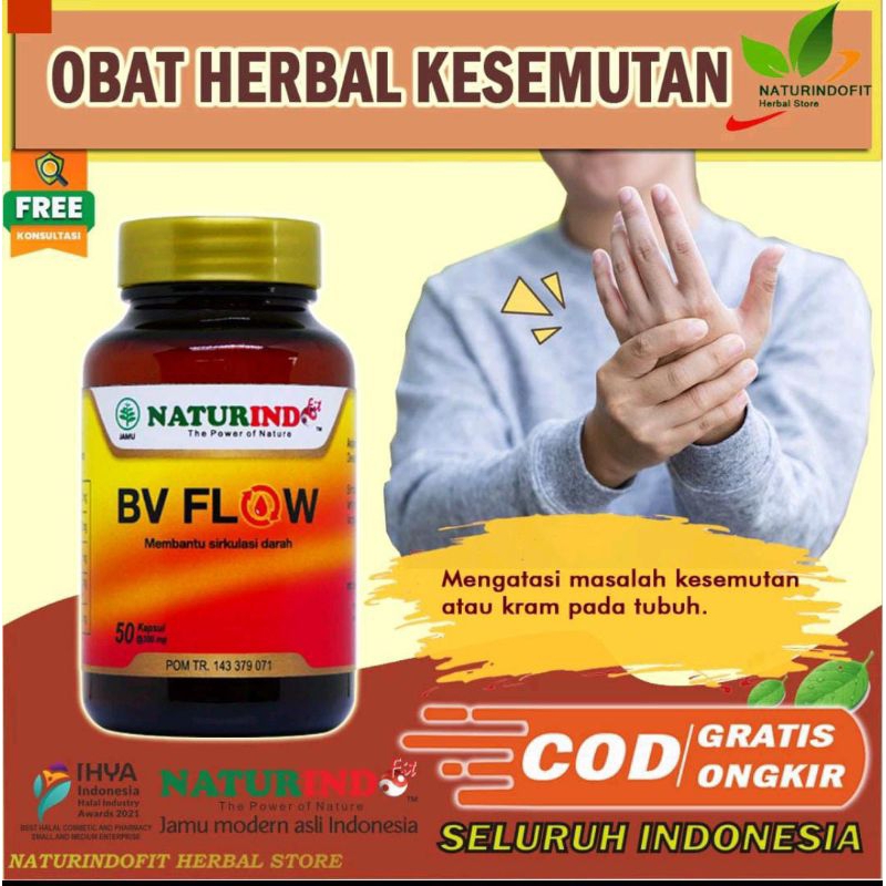 Jual BV FLOW NATURINDO - ( Obat Herbal Kesemutan BPOM ) | Shopee Indonesia