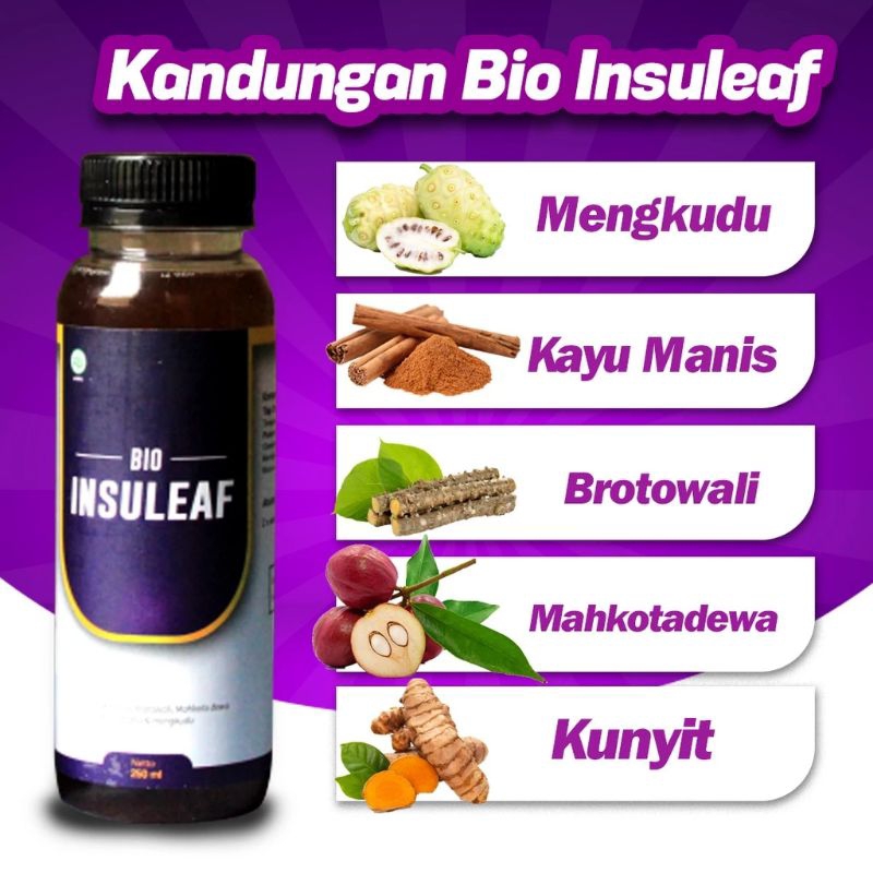 Jual BIO INSULEAF OBAT HERBAL ORIGINAL MENGATASI 1 BOTOL | Shopee Indonesia