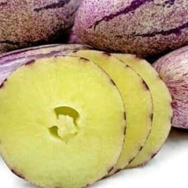Jual buah Pepino segar 2kg | Shopee Indonesia