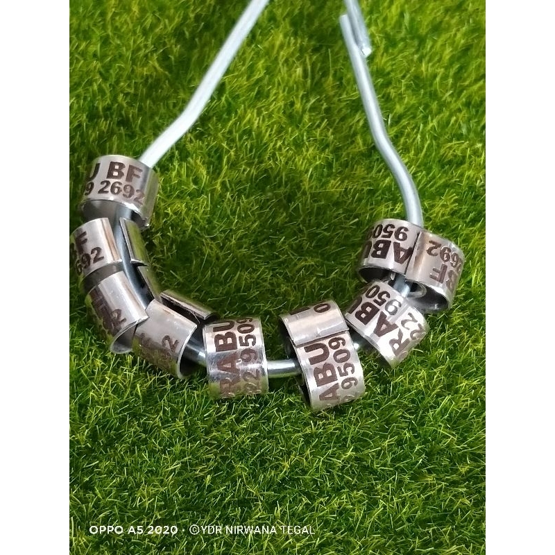 Jual RING MERPATI BAJA BELAH | Shopee Indonesia