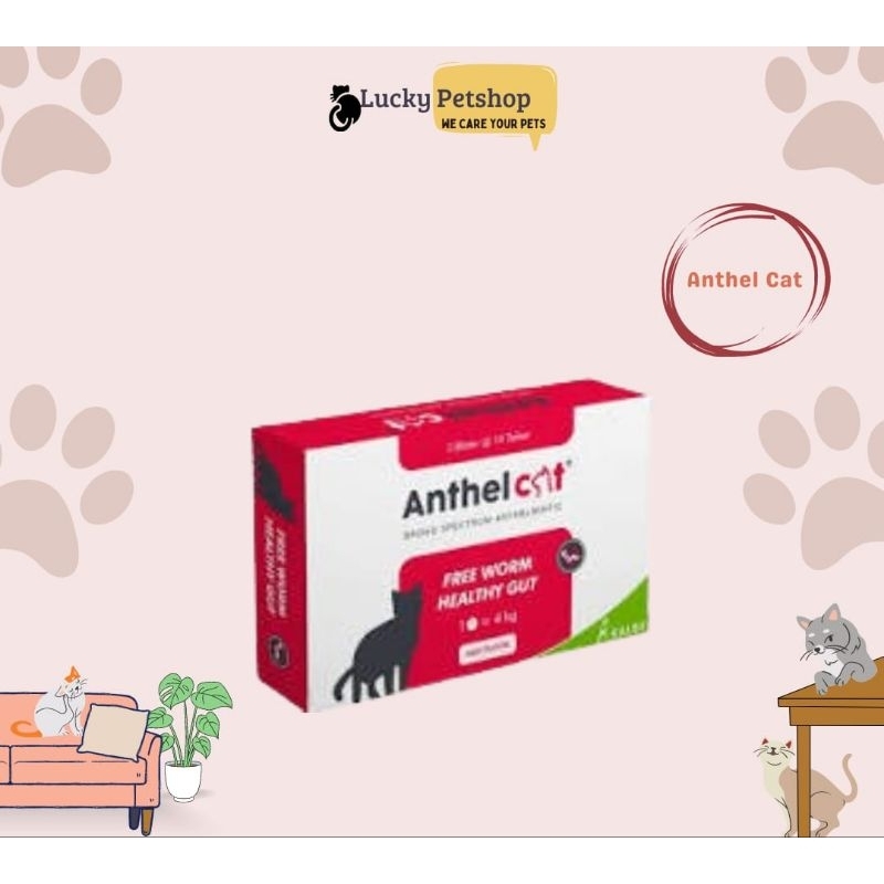 Jual anthel cat (obat cacing kucing 1 tablet ) | Shopee Indonesia
