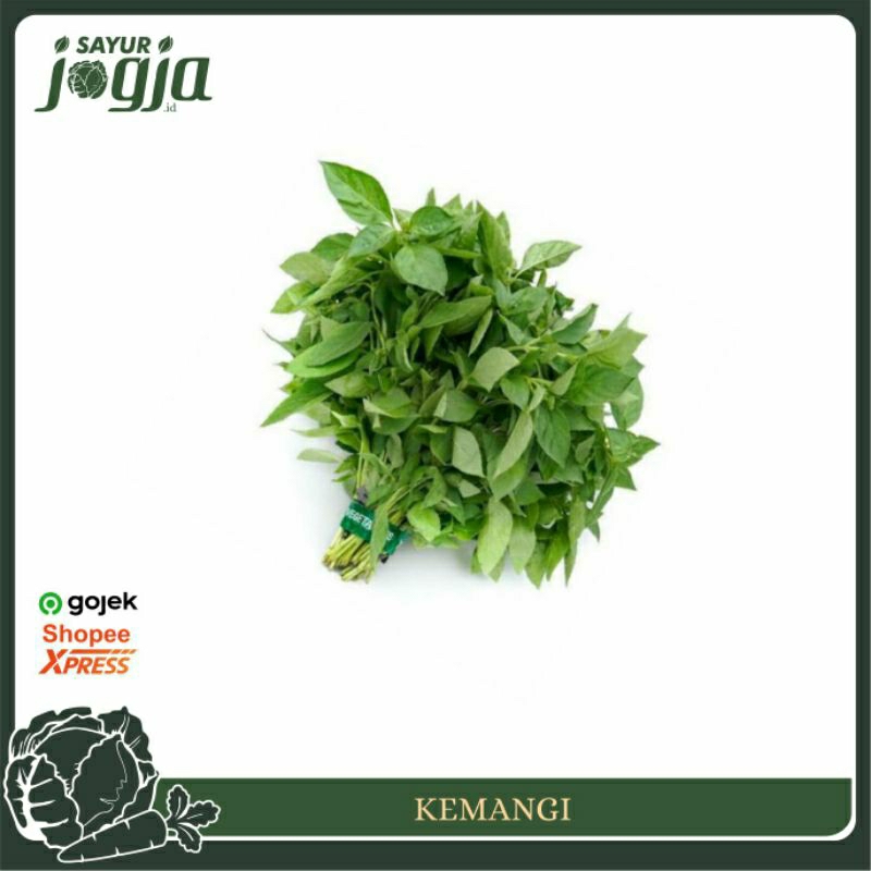 Jual Kemangi 1 Ikat : Sayur Jogja | Shopee Indonesia