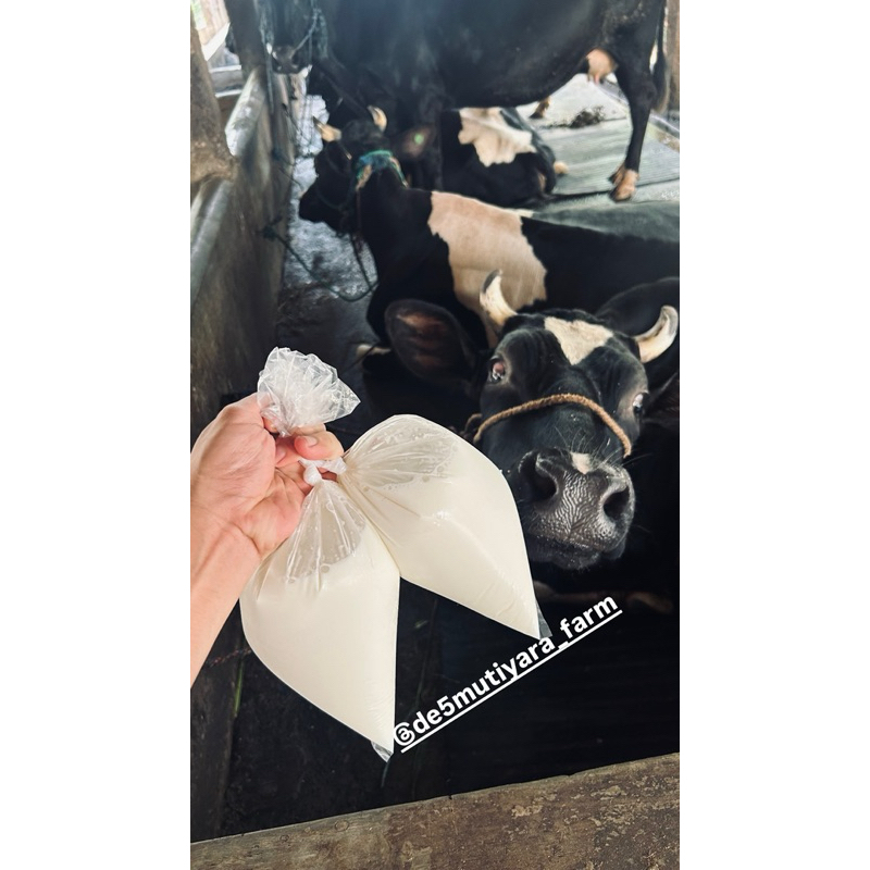 Jual Susu Sapi murni kemasan 1Liter (fresh) | Shopee Indonesia