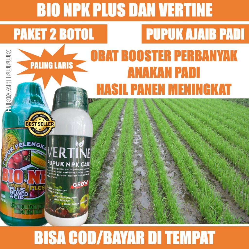 Jual 2 Botol Pupuk Padi Vertine & BIO NPK Pupuk NPK Cair Pelebat Anakan Padi Pembesar Padi Agar ...