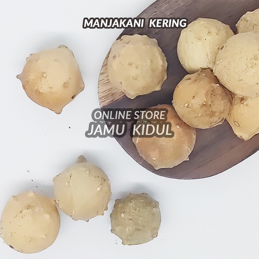 Jual Buah Manjakani Kering 100gr ISTIMEWA!! - Mengencangkan Otot Miss V ...