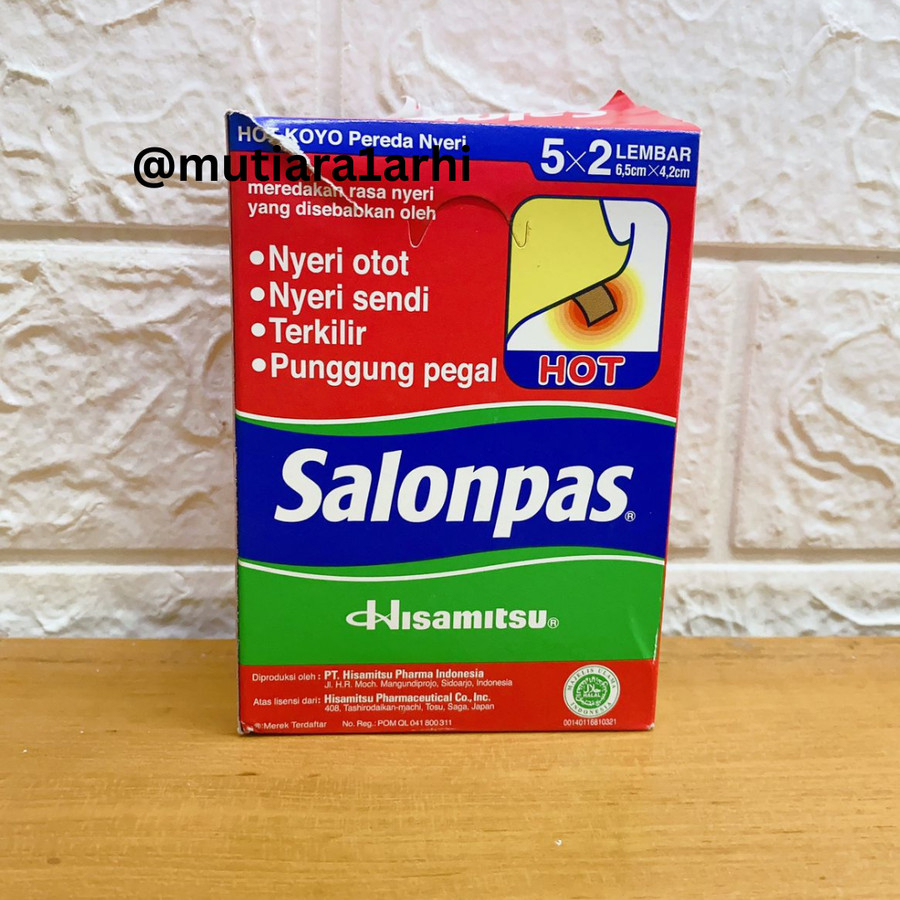Jual SALONPAS KOYO HOT BOX ISI 10 BUNGKUS X 10 PCS | Shopee Indonesia