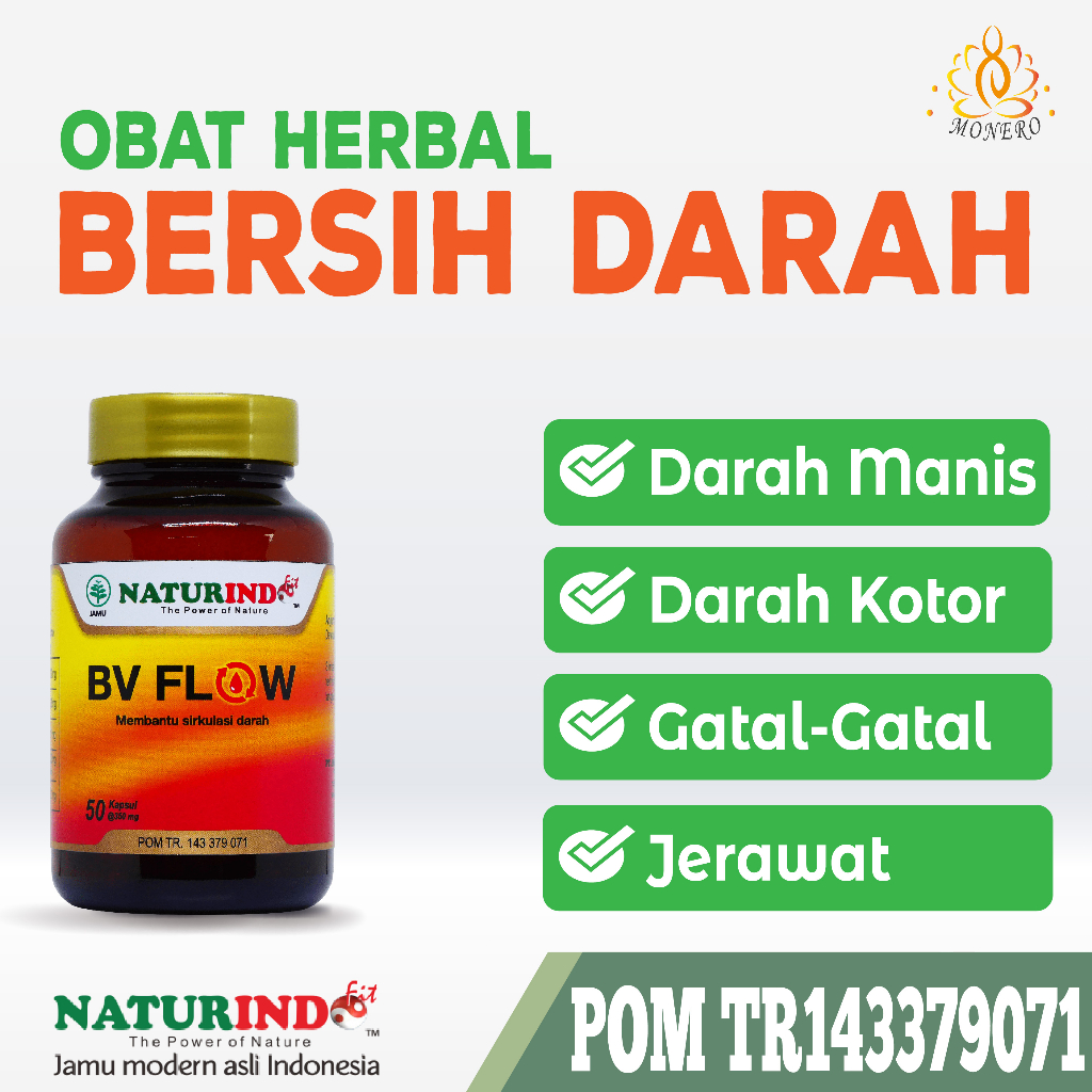 Jual Obat Bersih Darah Manis Kotor Jerawat Prurigo Herbal Kapsida ...