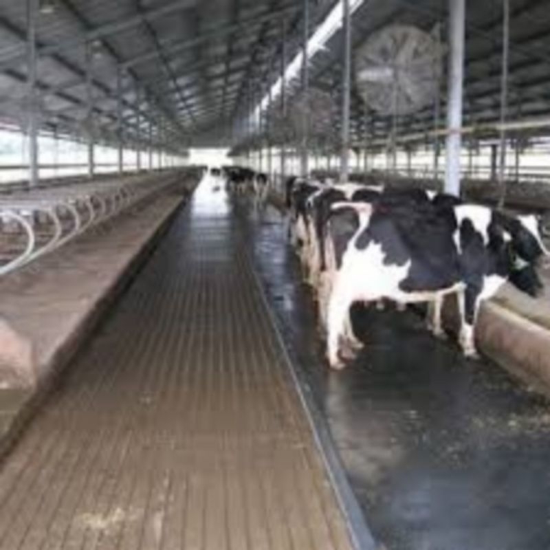 Jual KARPET SAPI / KARPET ALAS GAS / KARPET KUDA 10 METER X 2 METER ...