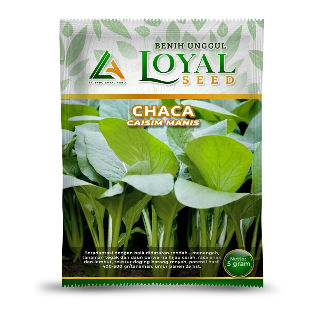 Jual BENIH SAWI CAISIM MANIS CHACA / BIBIT SAWI CAISIM MANIS CHACA ...