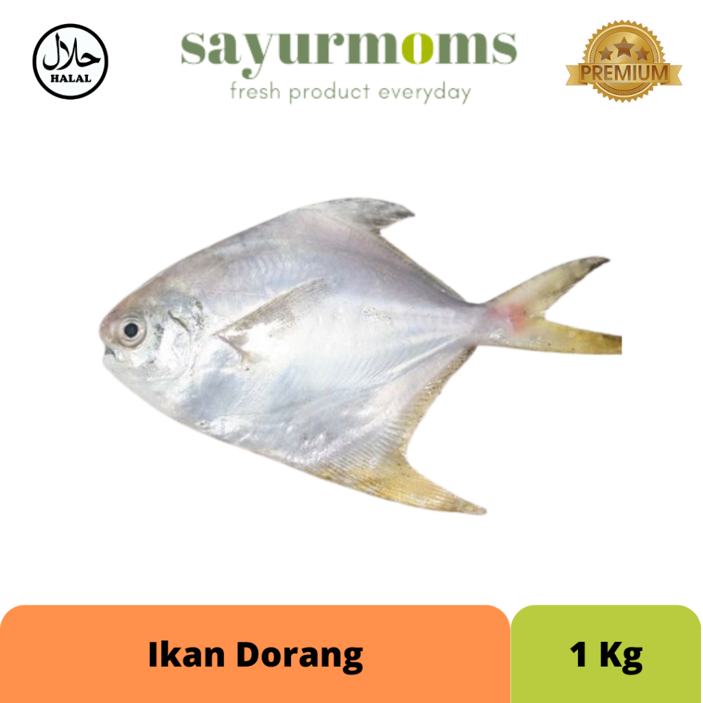 Jual Ikan Dorang 1Kg | Shopee Indonesia
