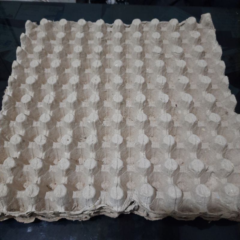 Jual Egg Tray telur puyuh bekas 1 kali pakai | Shopee Indonesia