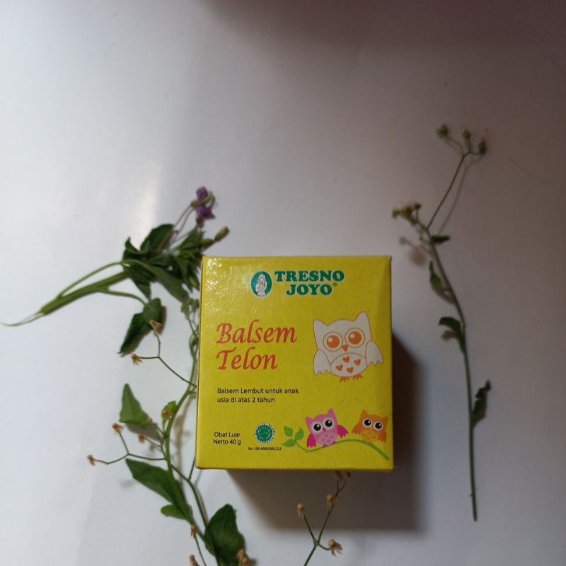 Jual balsem telon tresnojoyo 40g | Shopee Indonesia
