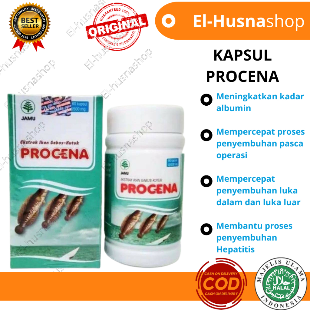 Jual Procena Ekstrak Ikan Gabus Kutuk 60 Kapsul Membantu Penyembuhan Luka Original | Shopee ...