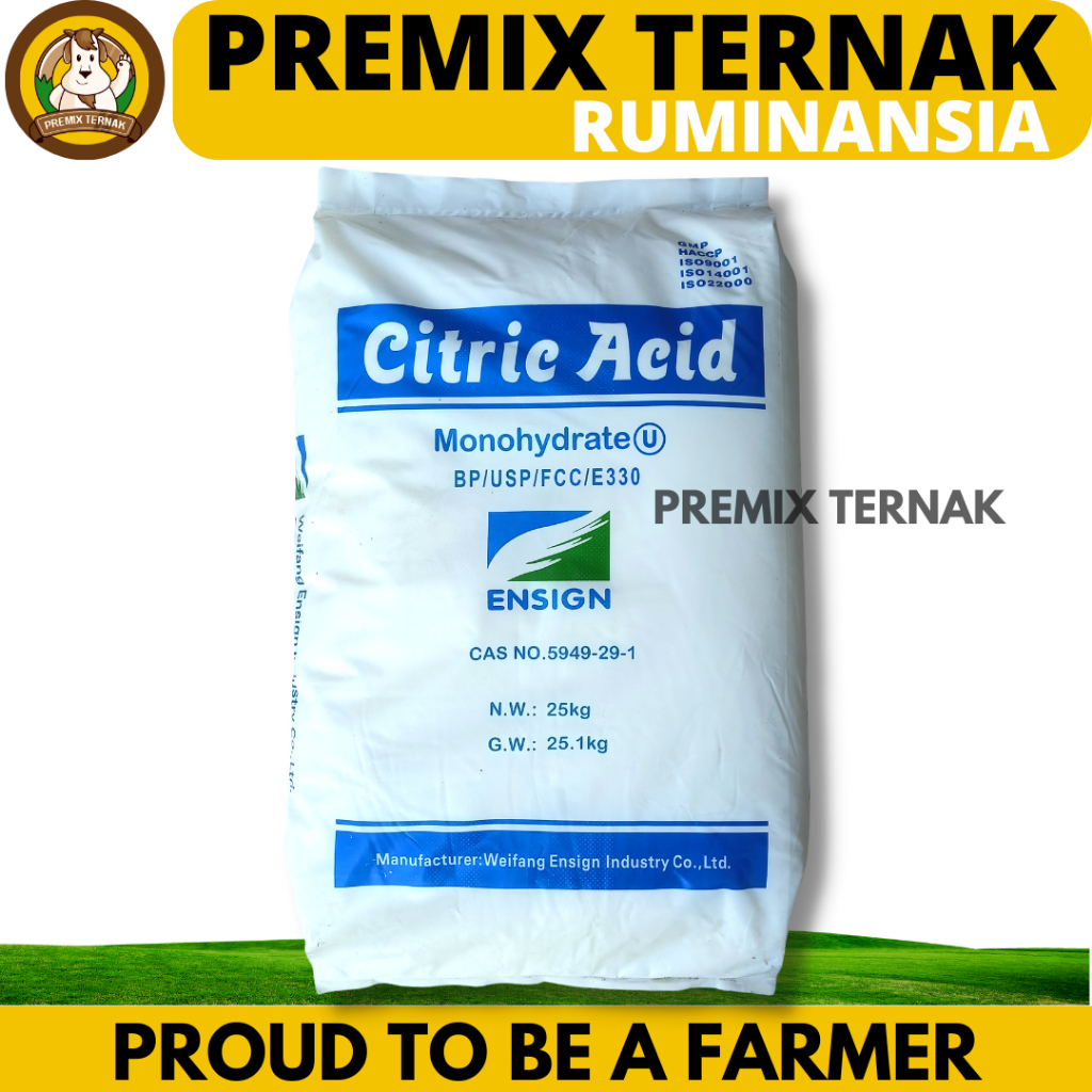Jual CITRIC ACID 1 SAK 25 KG - FOOD GRADE - Sitrun - Citrun - Sitrat ...