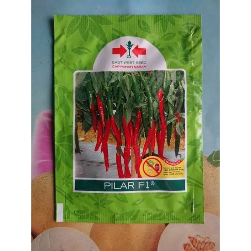 Jual Benih Cabe Besar Pilar F1 original | Shopee Indonesia