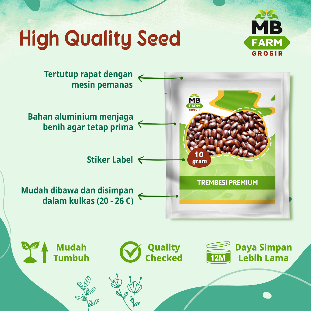 Jual Benih tanaman trembesi premium 10 gram / bibit pohon trembesi ...