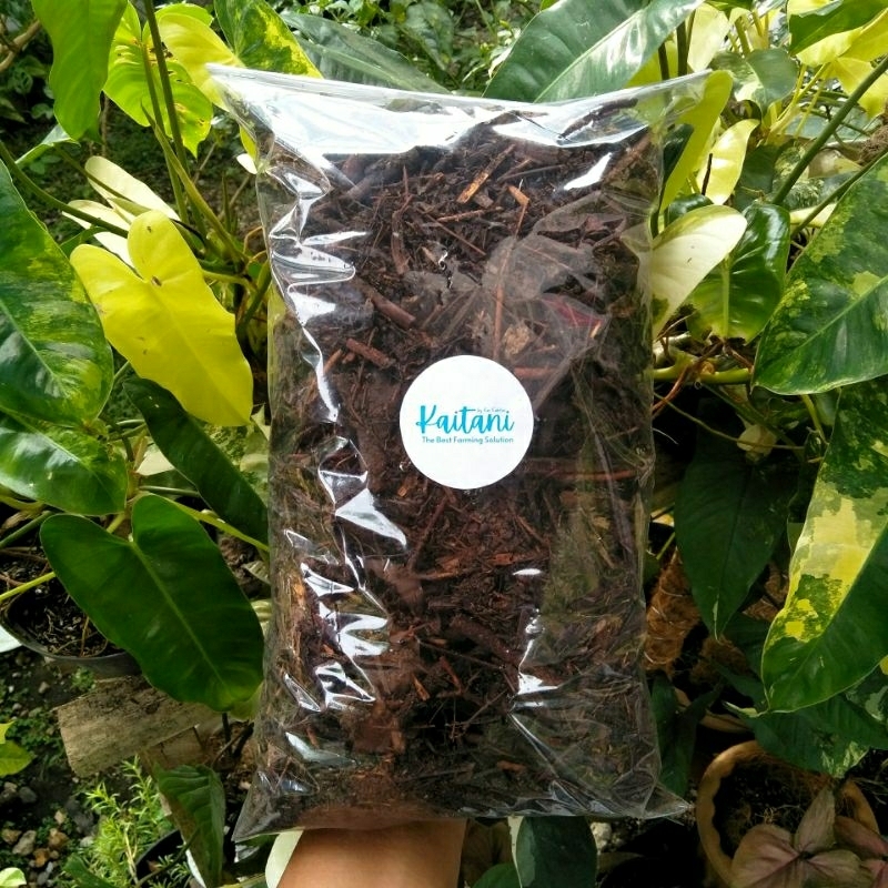 Jual Media Tanam Andam Pakis Kemasan Plastik Ukuran 3 Kg / Pakis Andam ...