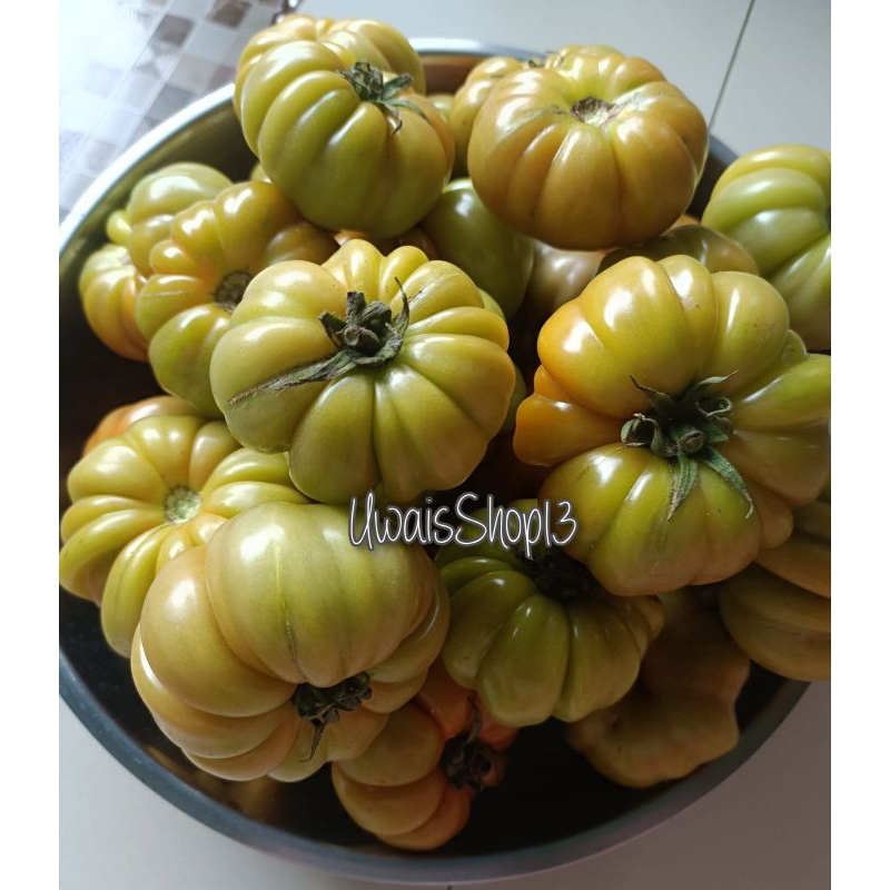 Jual Tomat ranti ( tomat khusus sambel tempong khas Banyuwangi ) 500gr ...
