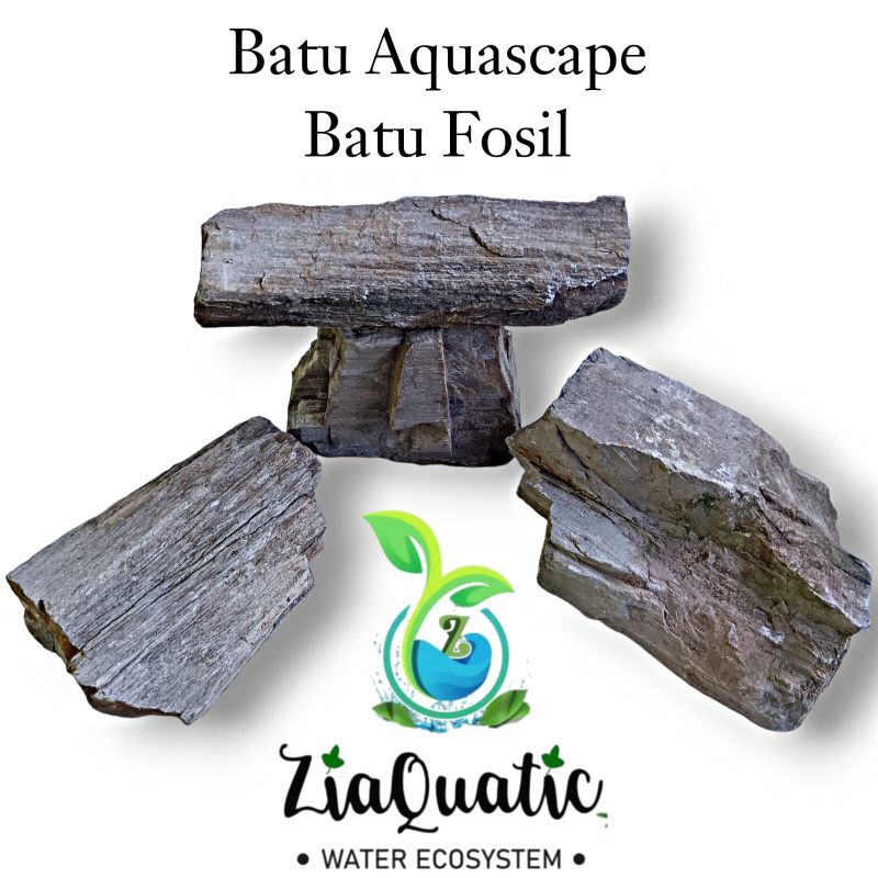 Jual Batu Aquascape/Posil Stone/Hiasan Aquarium/Iwagumi/Natural ...