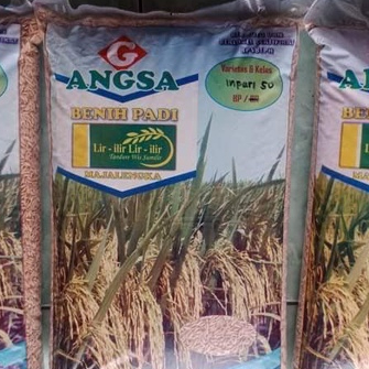 Jual Benih Bibit Padi Inpari 50 Label ungu | Shopee Indonesia